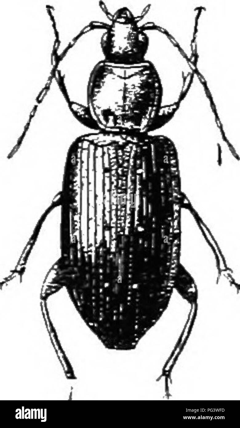 This catalog provides detailed descriptions and illustrations of ...