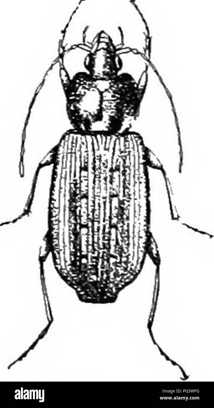 Indiana catalog Cut Out Stock Images & Pictures - Alamy