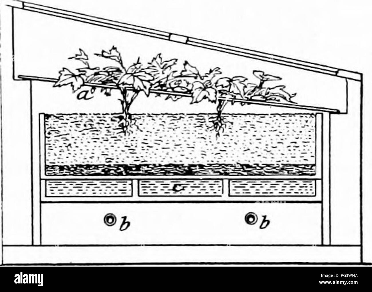 This work covers methods for plant propagation, particularly using ...