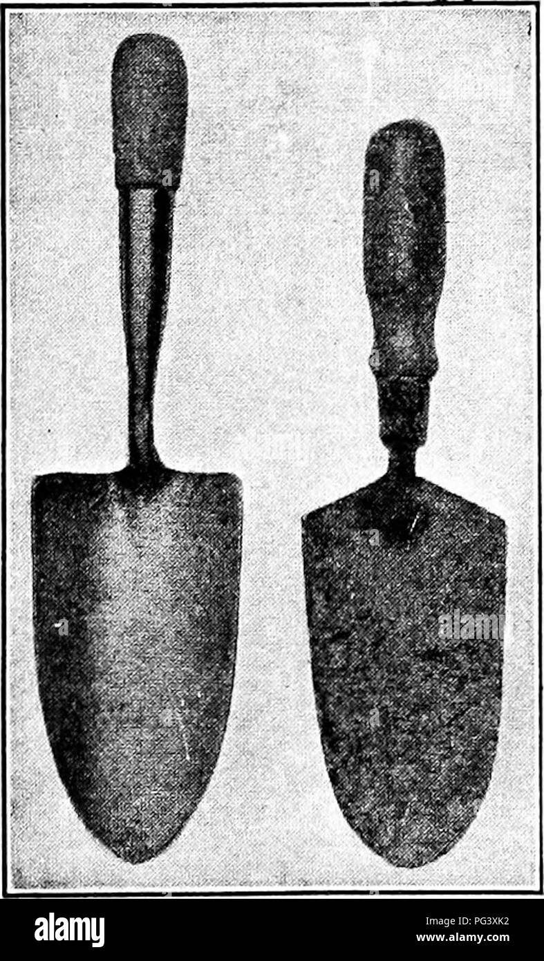 Val seeds hi-res stock photography and images - Alamy