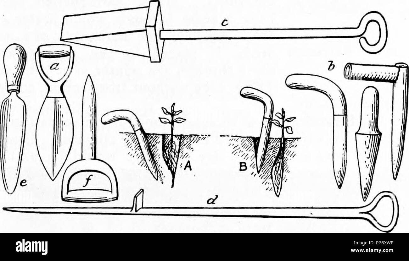 Dibbles hi-res stock photography and images - Alamy