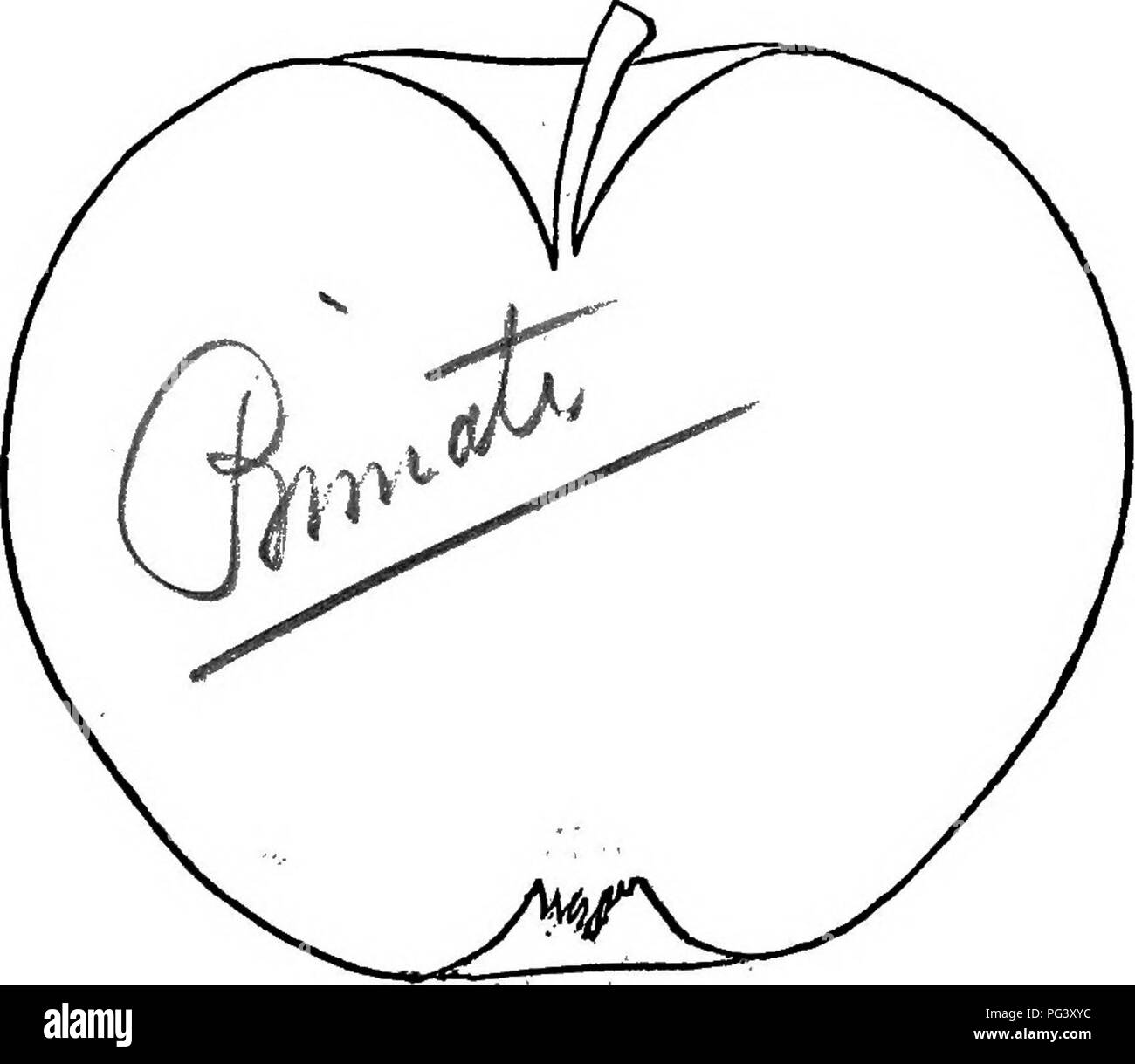 This book provides detailed descriptions of fruit trees, with a focus ...