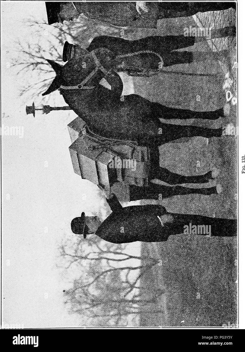 The manual outlines techniques for pack transportation, focusing on ...