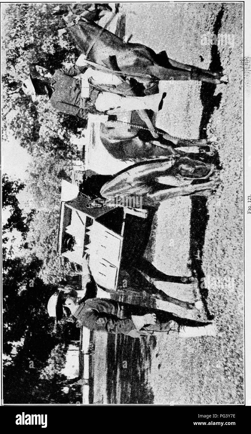 The Manual of Pack Transportation, prepared by the United States Army ...