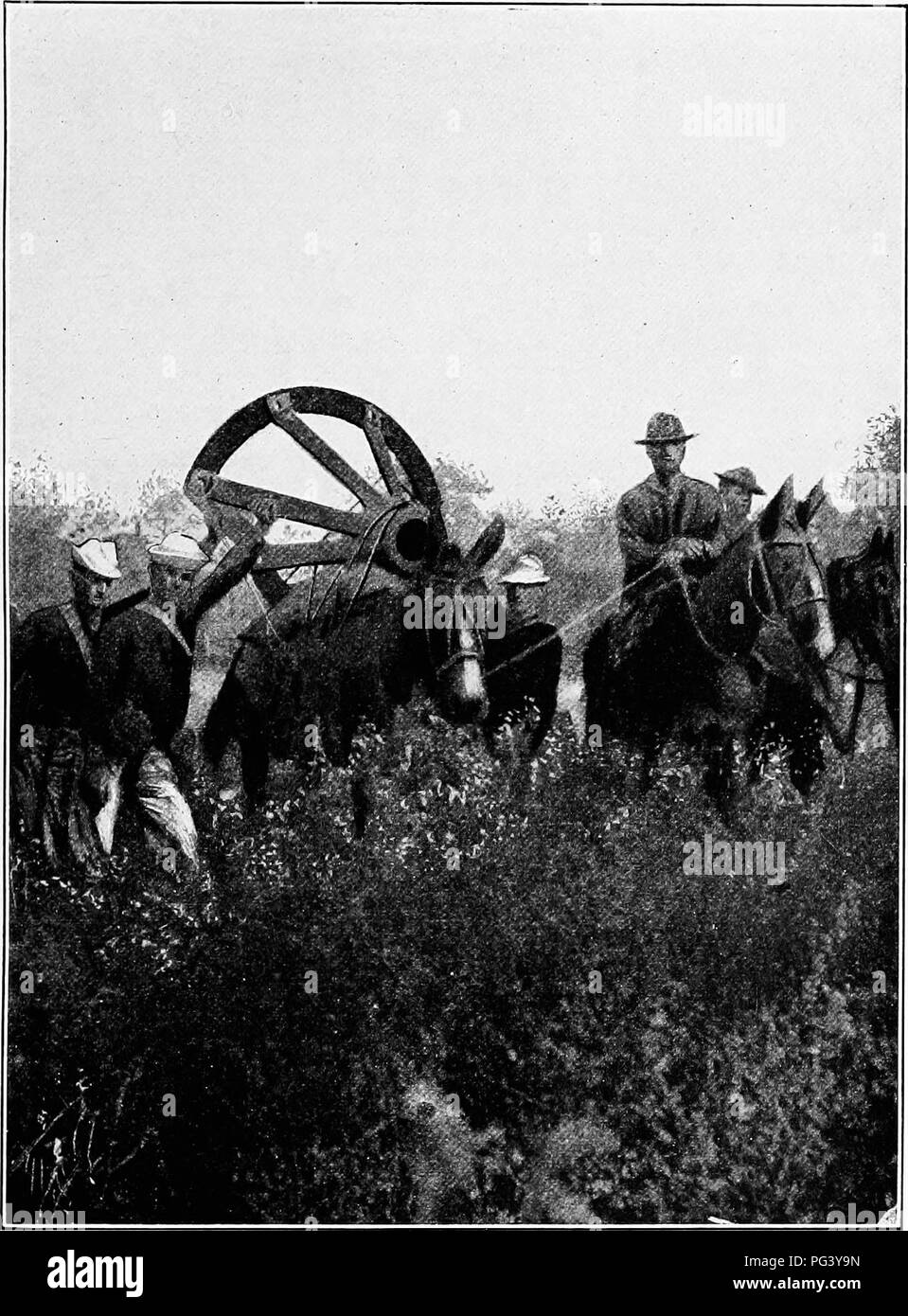 A guide to the principles of pack transportation used by the U.S. Army ...