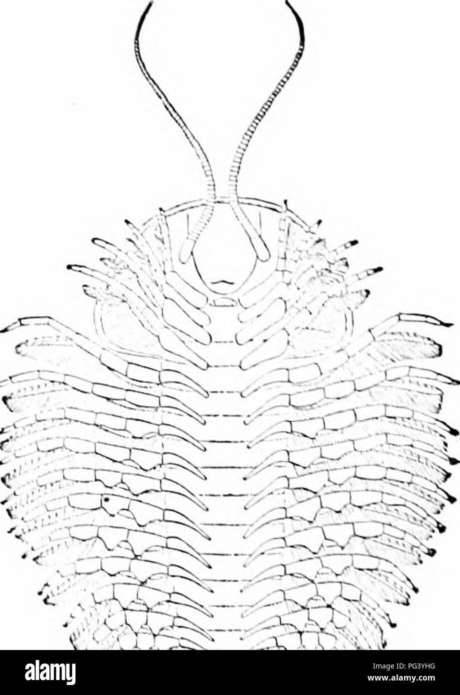 Serni hi-res stock photography and images - Alamy