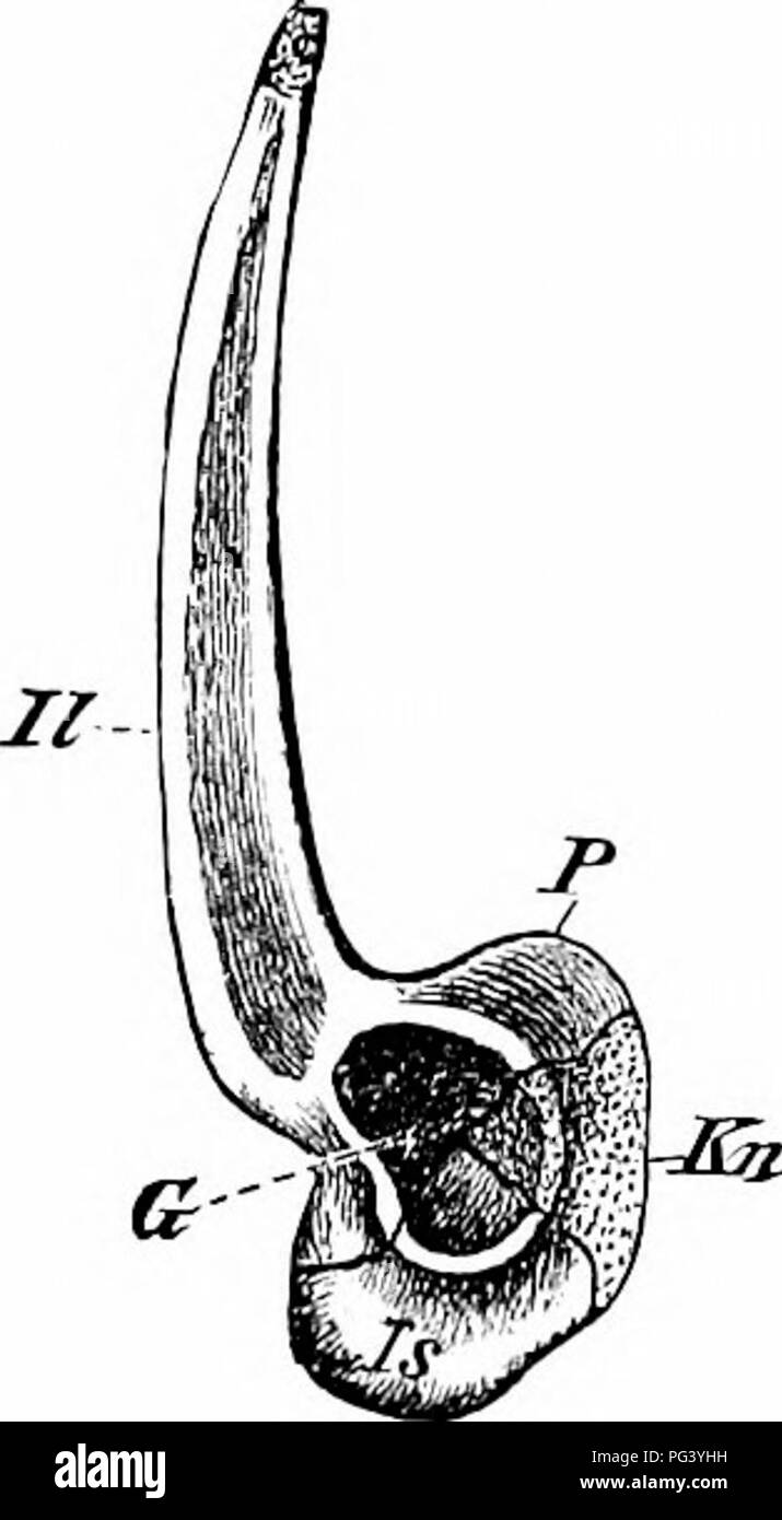 Transverse rods Black and White Stock Photos & Images - Alamy