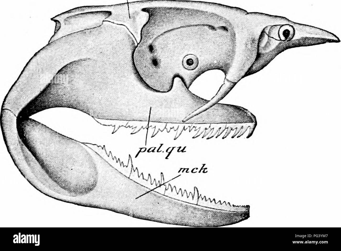 This manual provides an overview of zoology, focusing on the anatomy ...