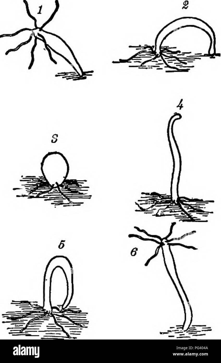 . Elementary biology, animal and human. Biology. ADDITIONAL ANIMAL ...