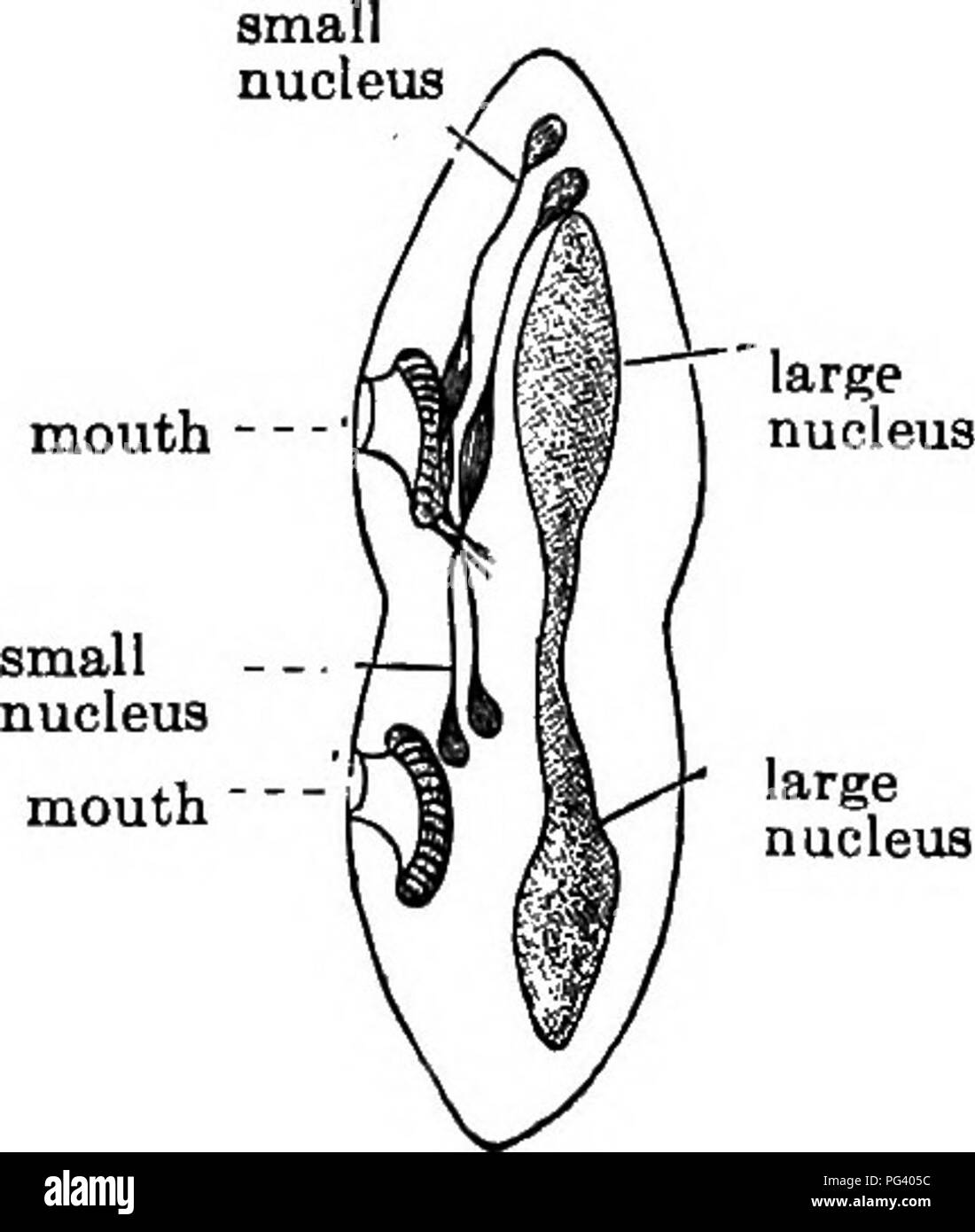 This textbook provides an introduction to the biological sciences ...