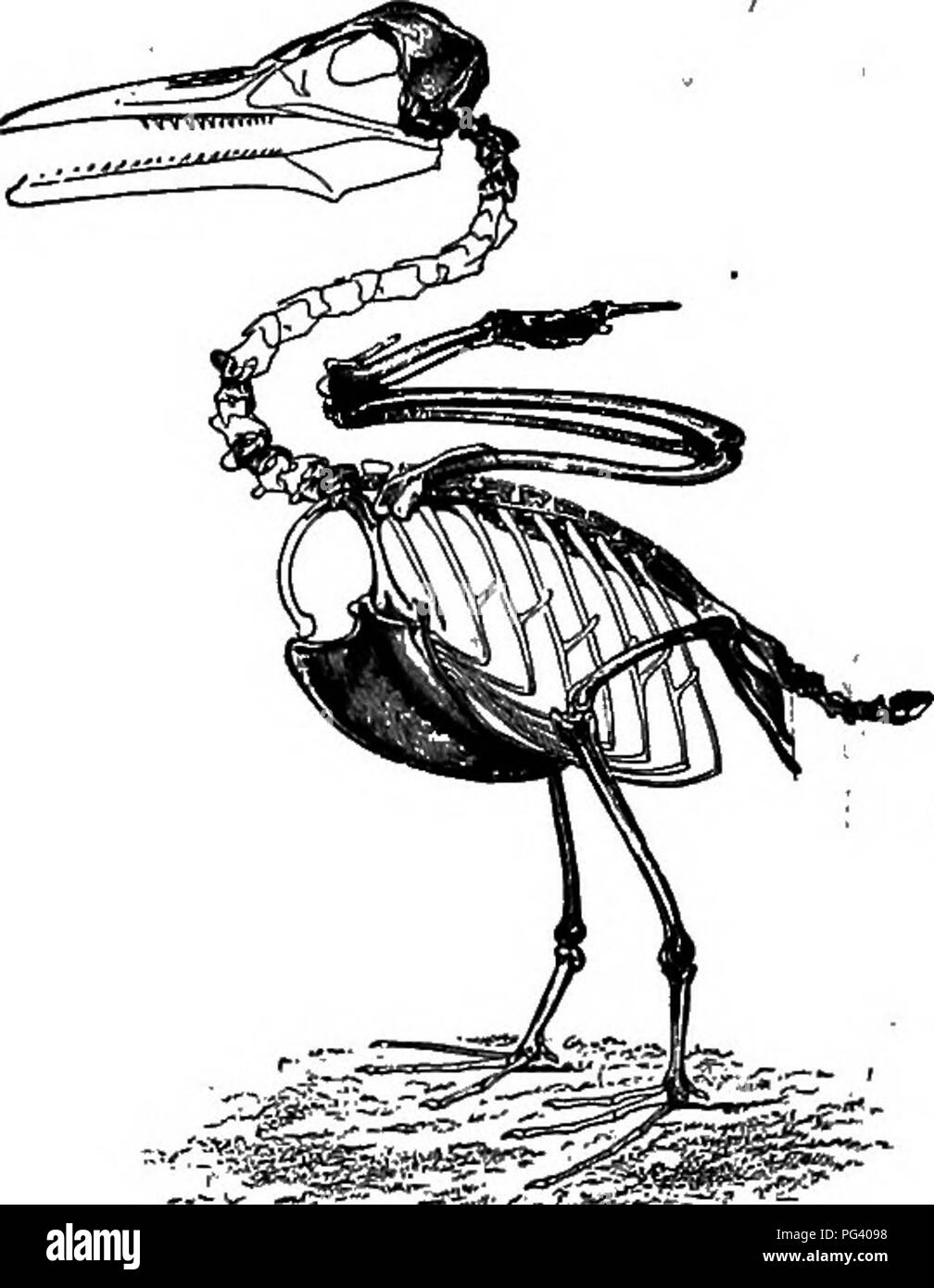 This image from an elementary biology text illustrates the structure of ...