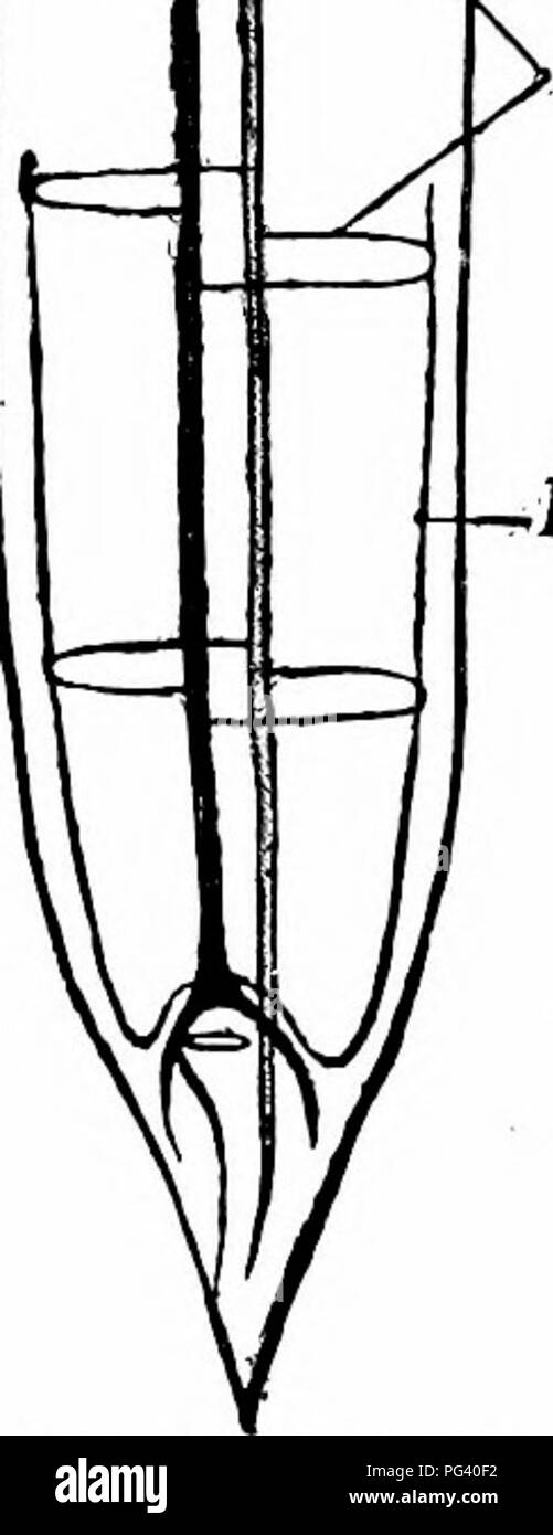 This manual of zoology features detailed diagrams and descriptions of ...