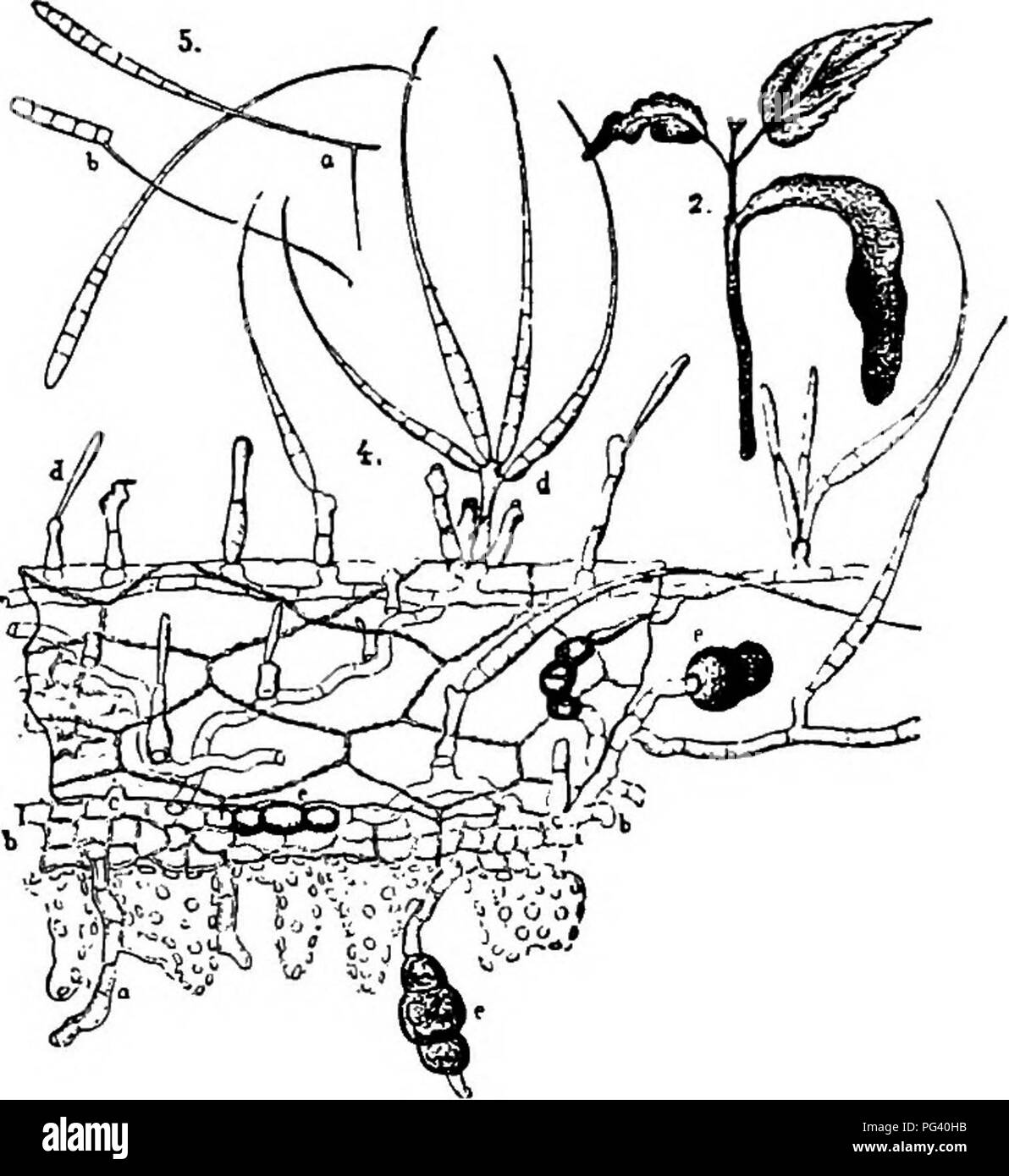 Algae farming Black and White Stock Photos & Images - Alamy