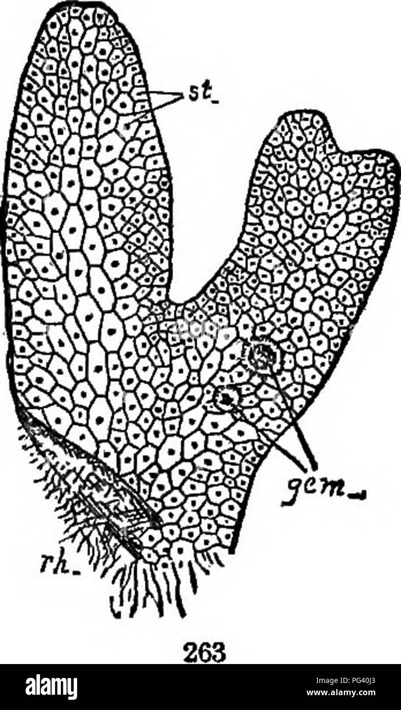 This textbook covers the fundamental principles of botany, including ...