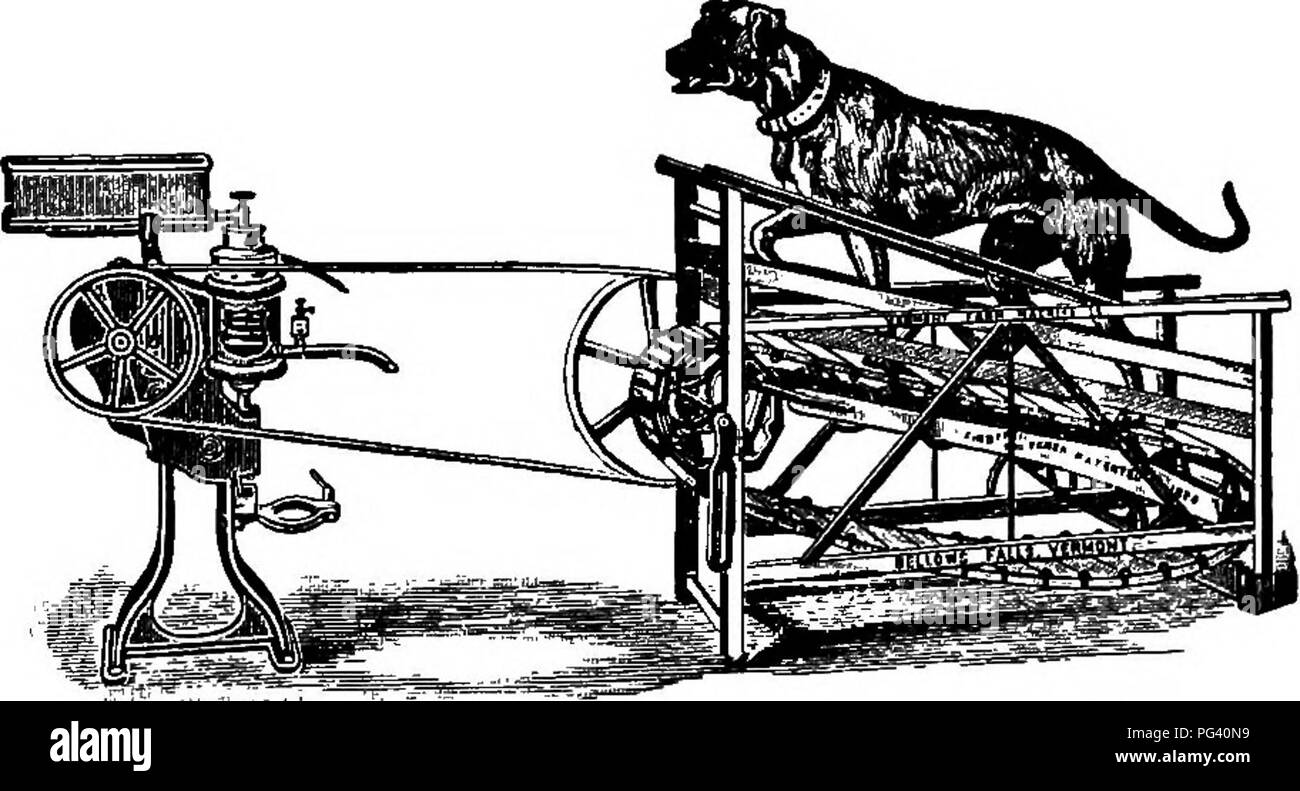 Queen separator hi-res stock photography and images - Alamy