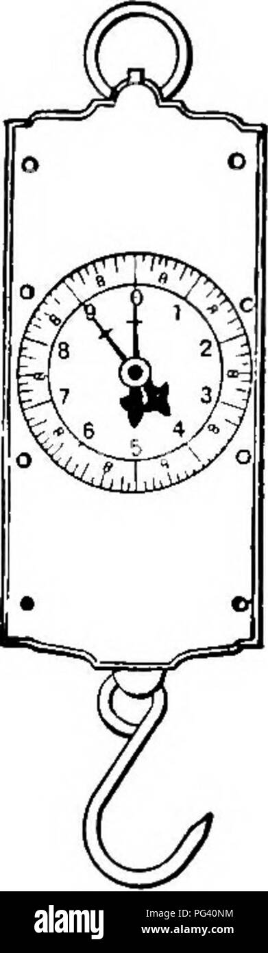 Queen separator Black and White Stock Photos & Images - Alamy