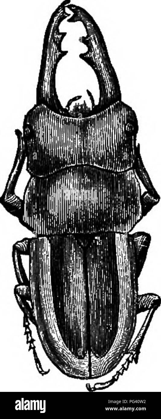 This study explores how environmental factors influence animal life ...