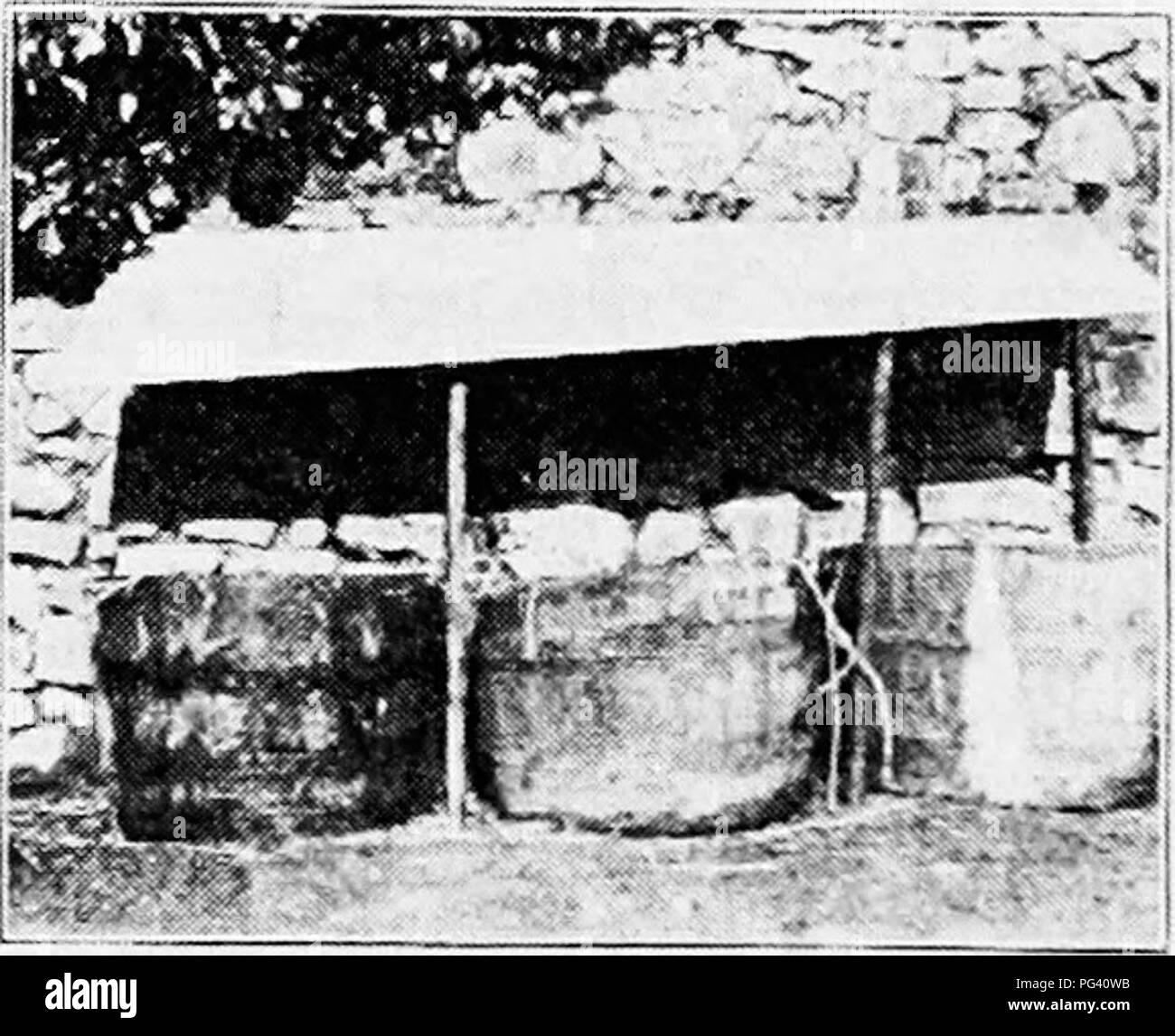 This work provides insights into poultry management, including nest ...