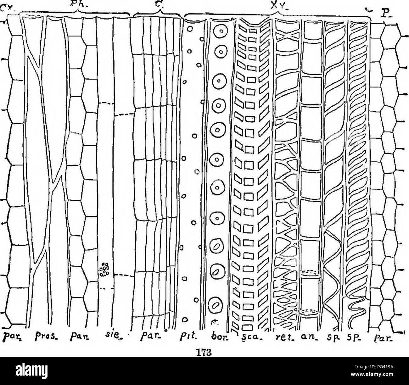 Simple pits Black and White Stock Photos & Images - Alamy