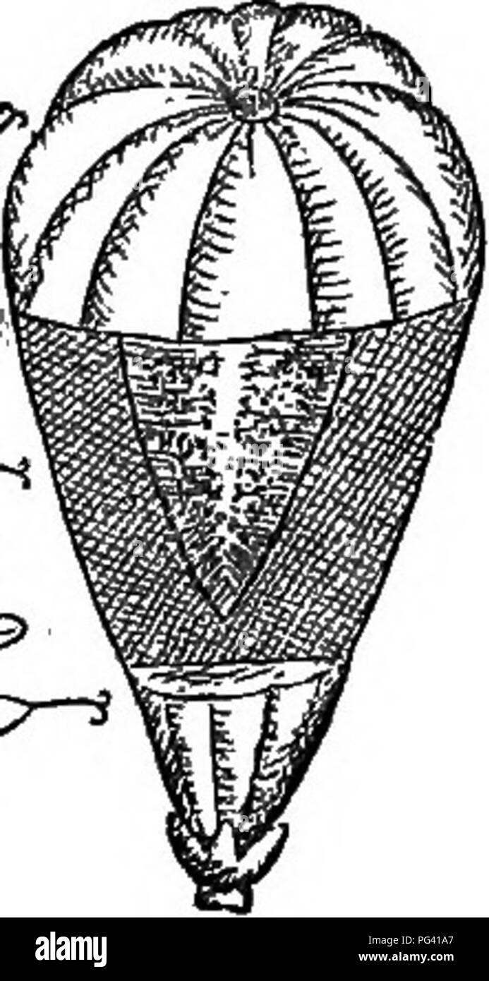 . The elements of botany embracing organography, histology, vegetable ...