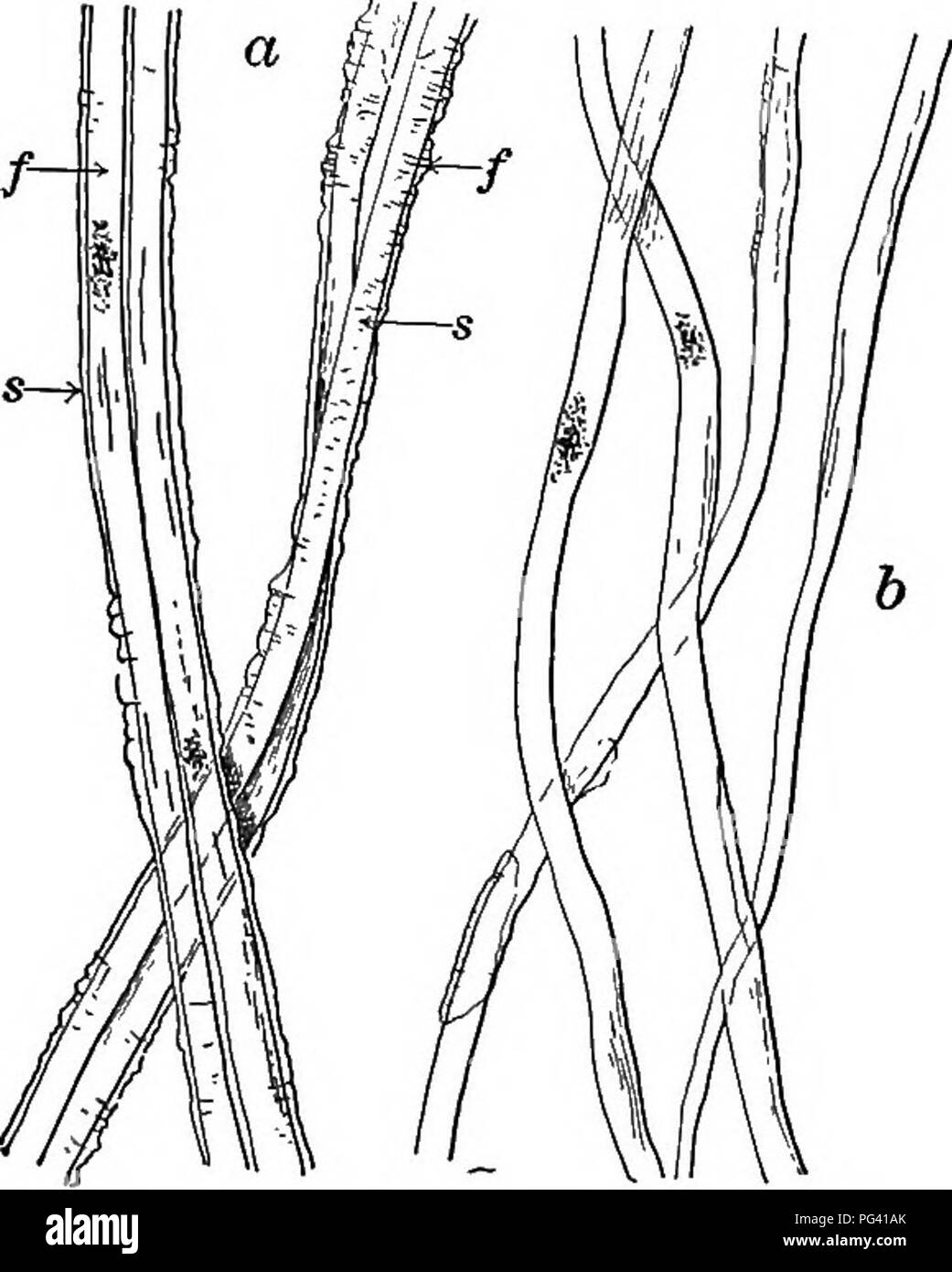 This introductory text on applied microscopy covers the examination of ...