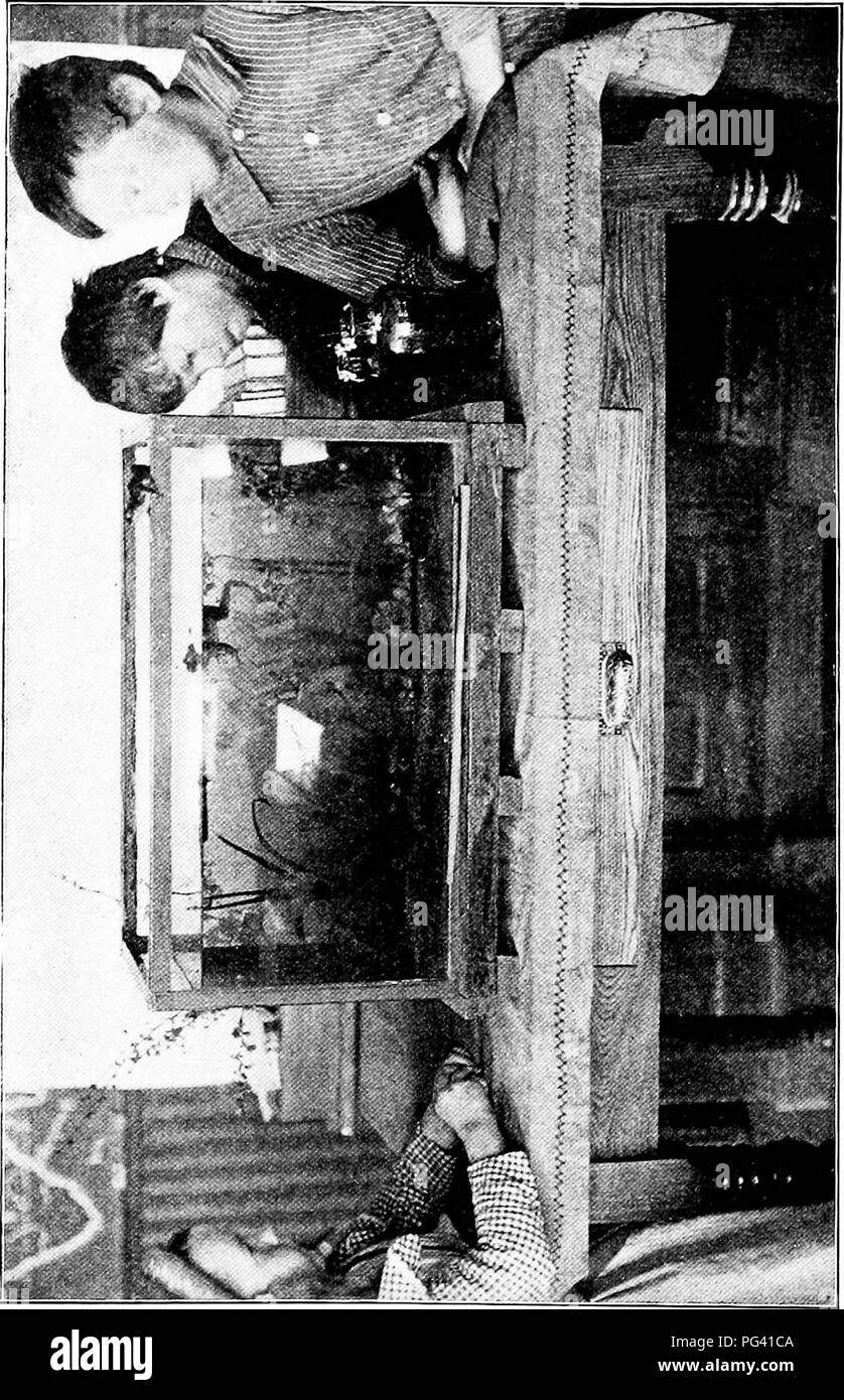 Interrelationships Black and White Stock Photos & Images - Alamy