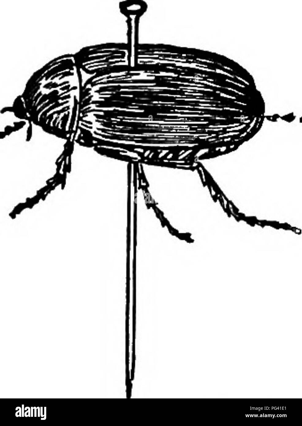 Cyanide bottle hi-res stock photography and images - Alamy