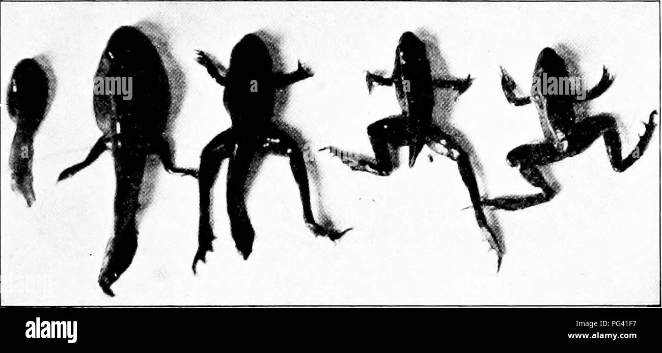 This manual for teachers and students explains the life cycle of ...