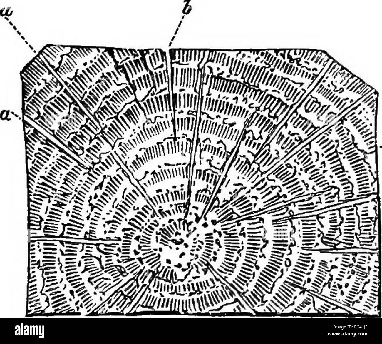 . Timber and timber trees, native and foreign . Timber; Trees. TIMBER ...