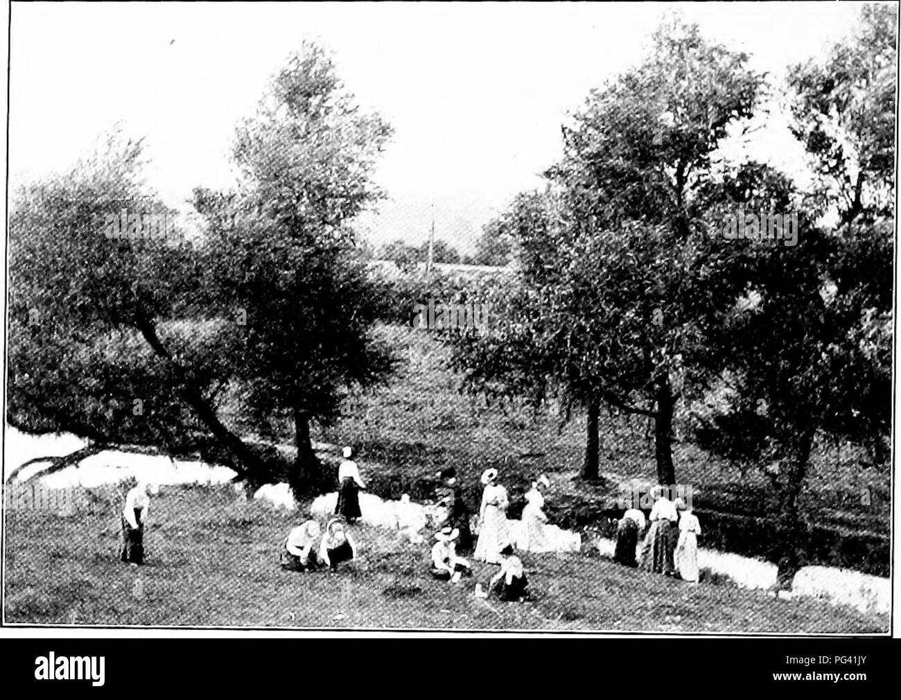 3 wishes Black and White Stock Photos & Images - Alamy