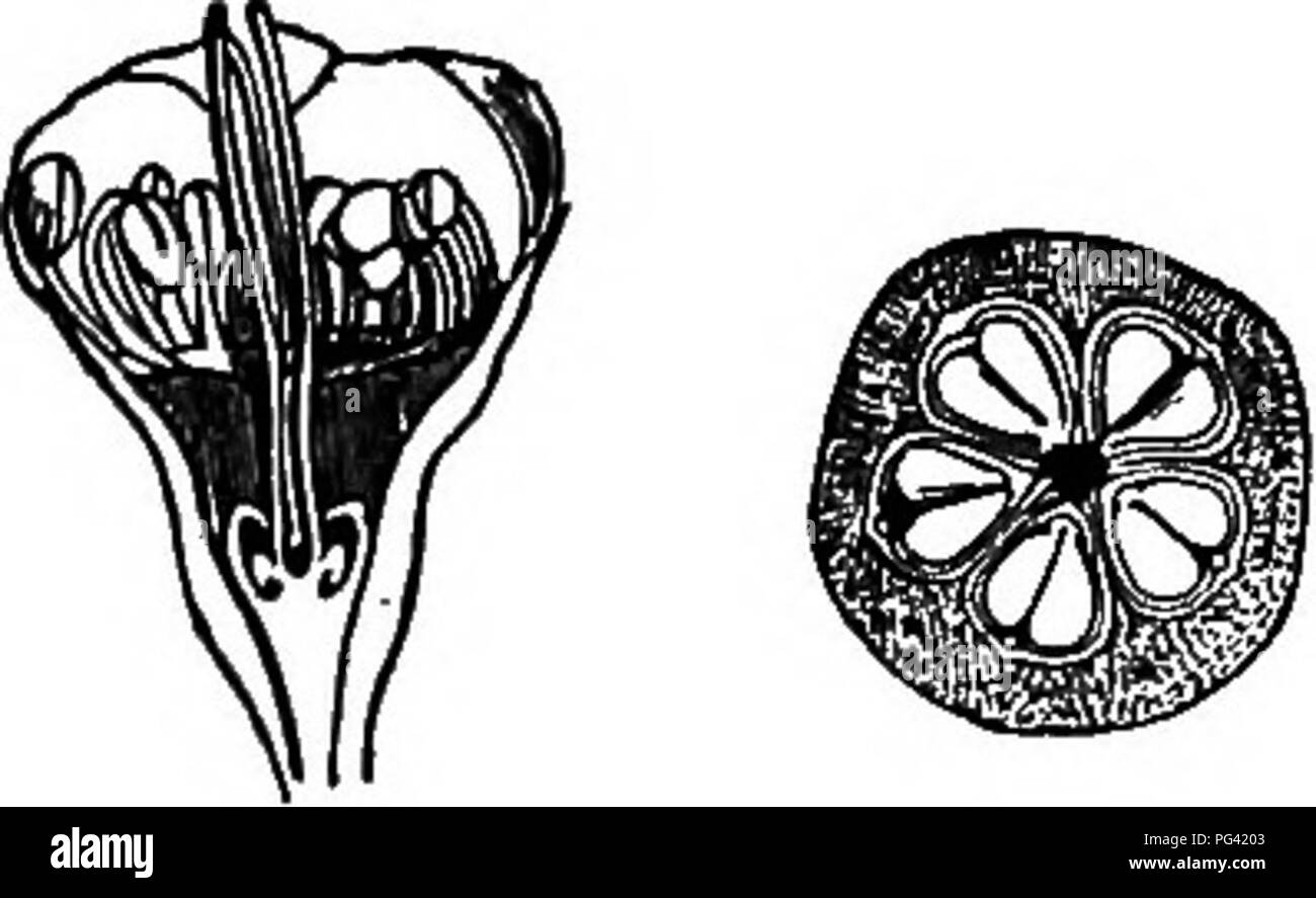 Entire section Black and White Stock Photos & Images - Alamy