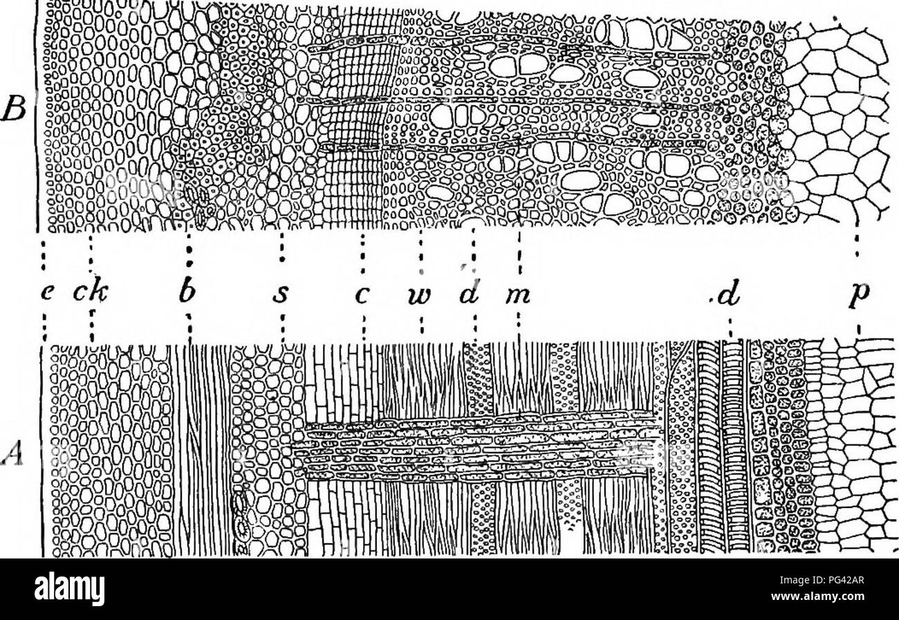 Sector Sketch High Resolution Stock Photography and Images - Alamy