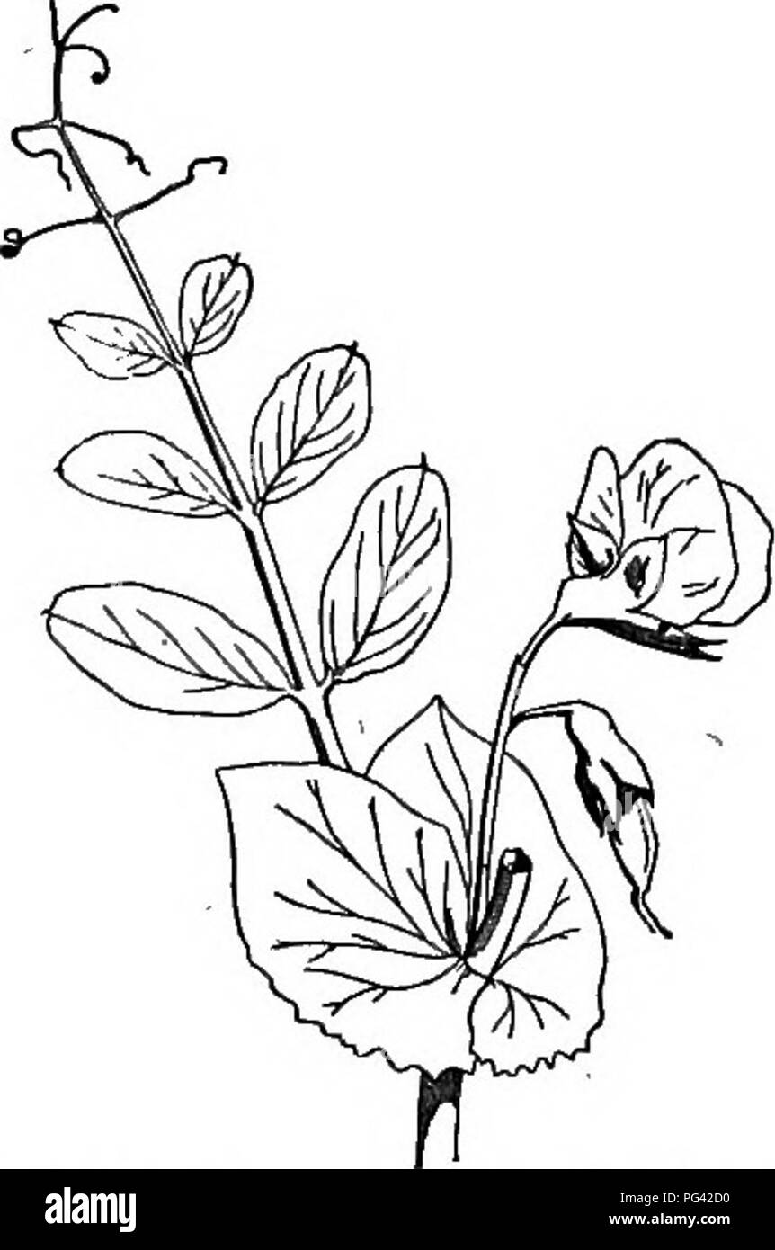 This textbook provides detailed illustrations and explanations of ...