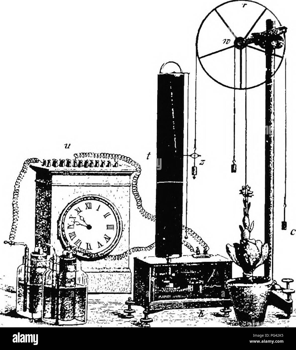 This educational text on botany for agricultural students focuses on ...