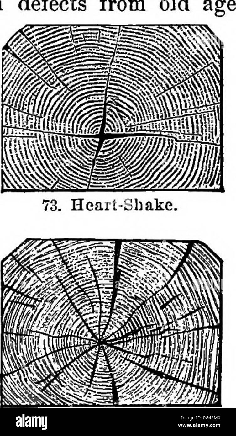 Timber defects hi-res stock photography and images - Alamy