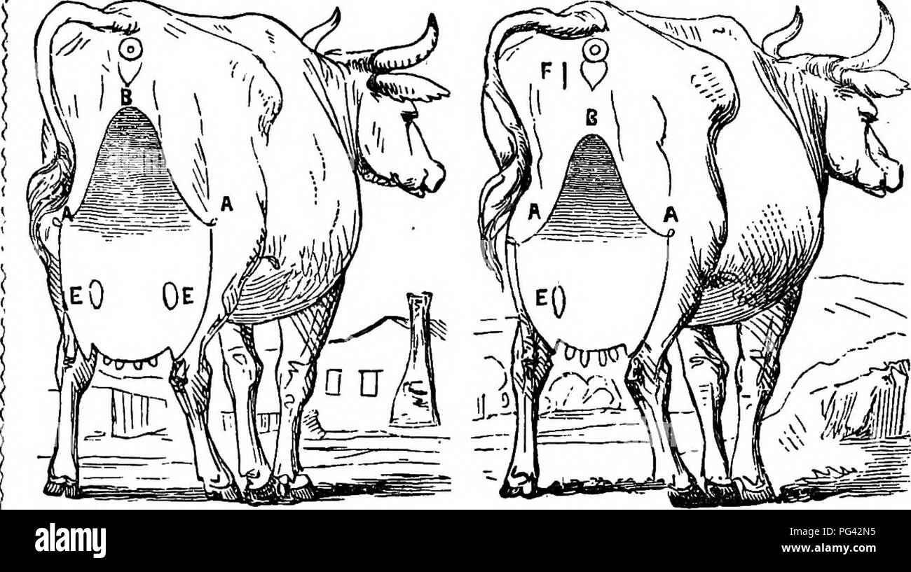 Sabu sabu Black and White Stock Photos & Images - Alamy