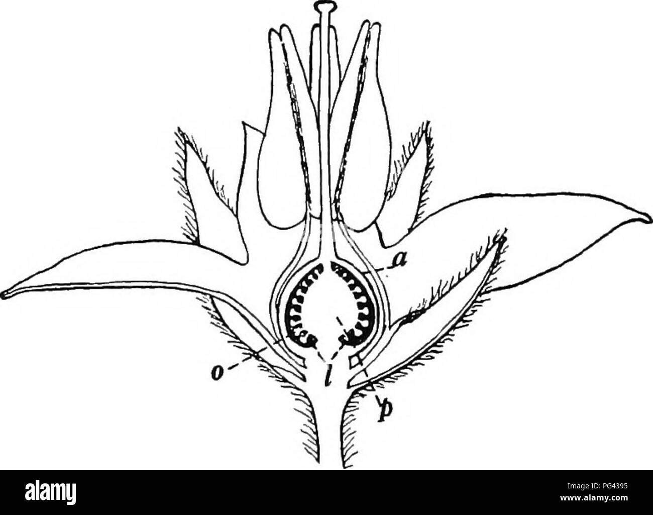 This textbook for agricultural students provides an in-depth look at ...