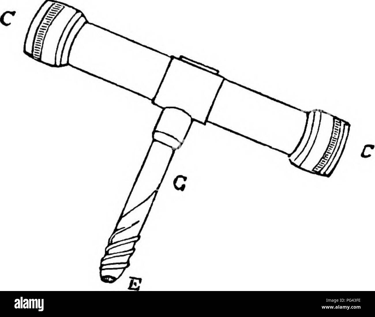 Tree Trunk Cut Out Black and White Stock Photos & Images - Alamy