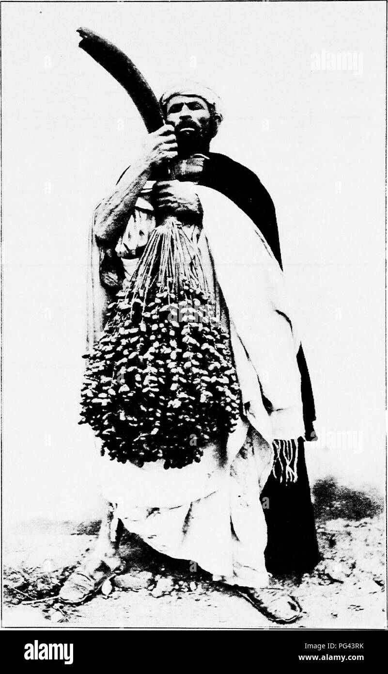 Jean geiser Black and White Stock Photos & Images - Alamy