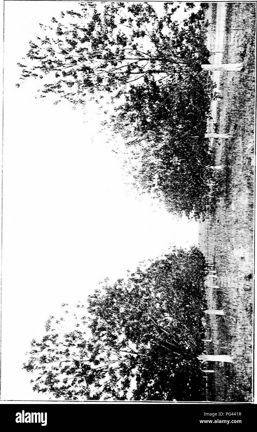 A guide on profitable crops, including pecans, figs, mangoes, avocados ...