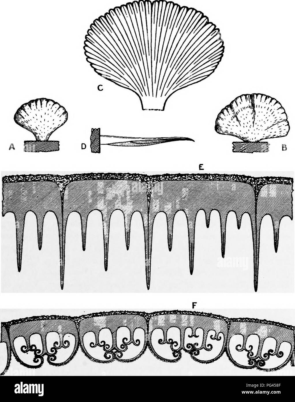 Xerophytes Weather