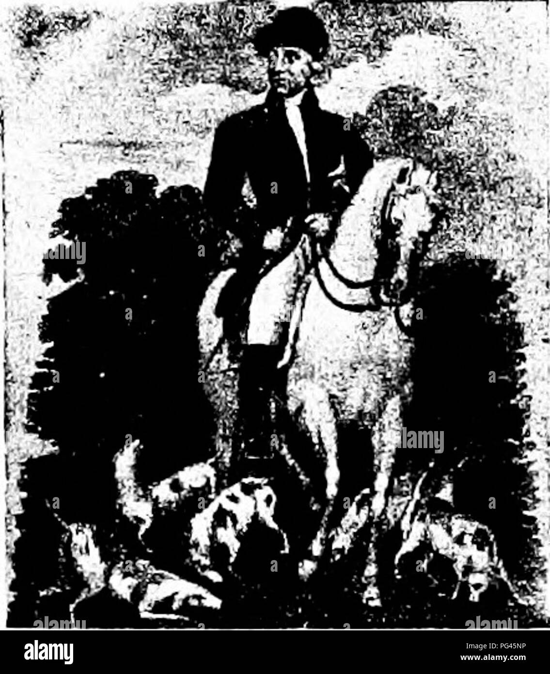 This book provides a history of dogs, focusing on their care ...