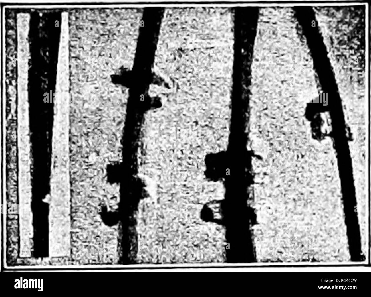 This section discusses various fungi responsible for plant diseases ...