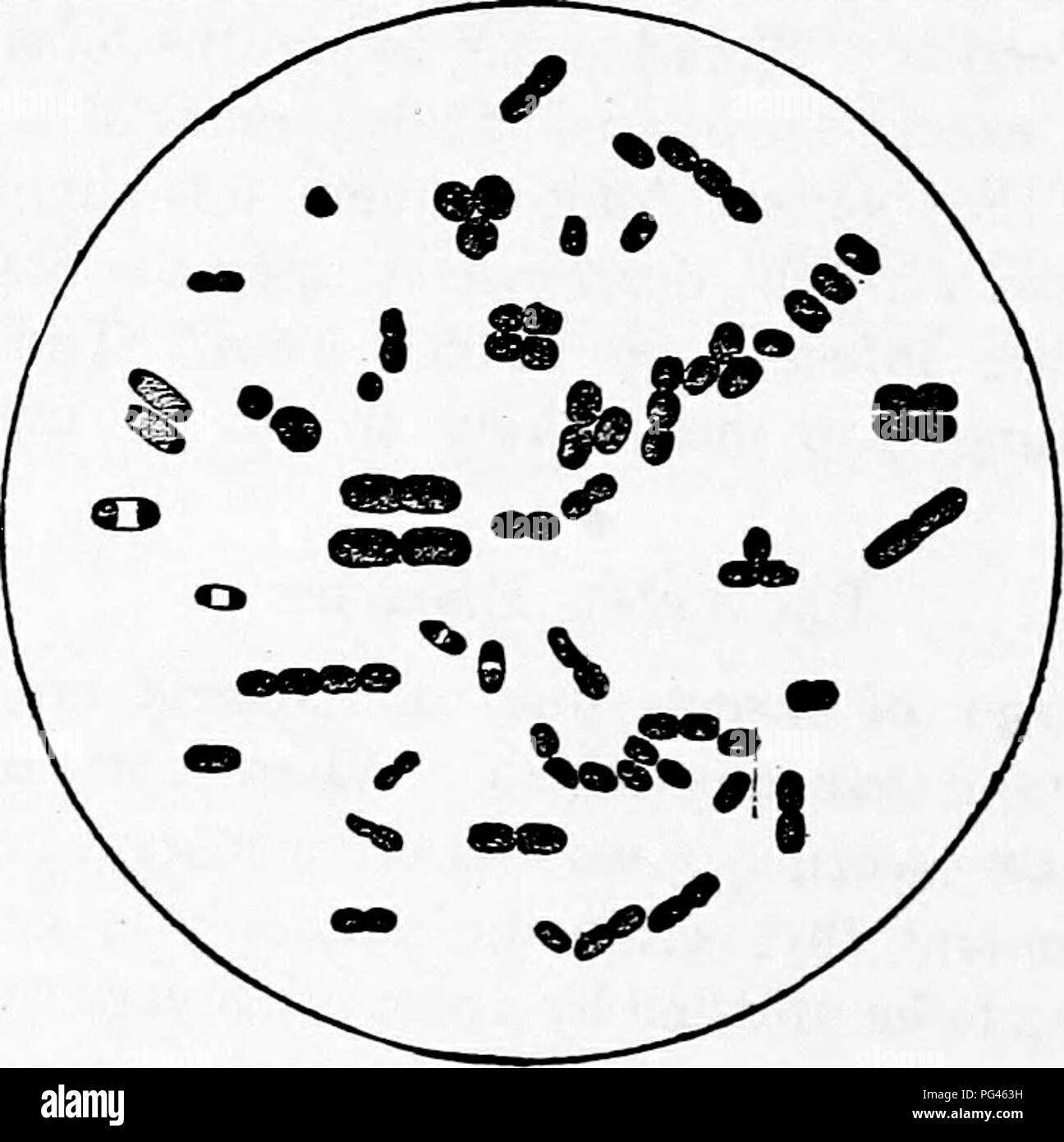 . Farm friends and farm foes : a text-book of agricultural science ...