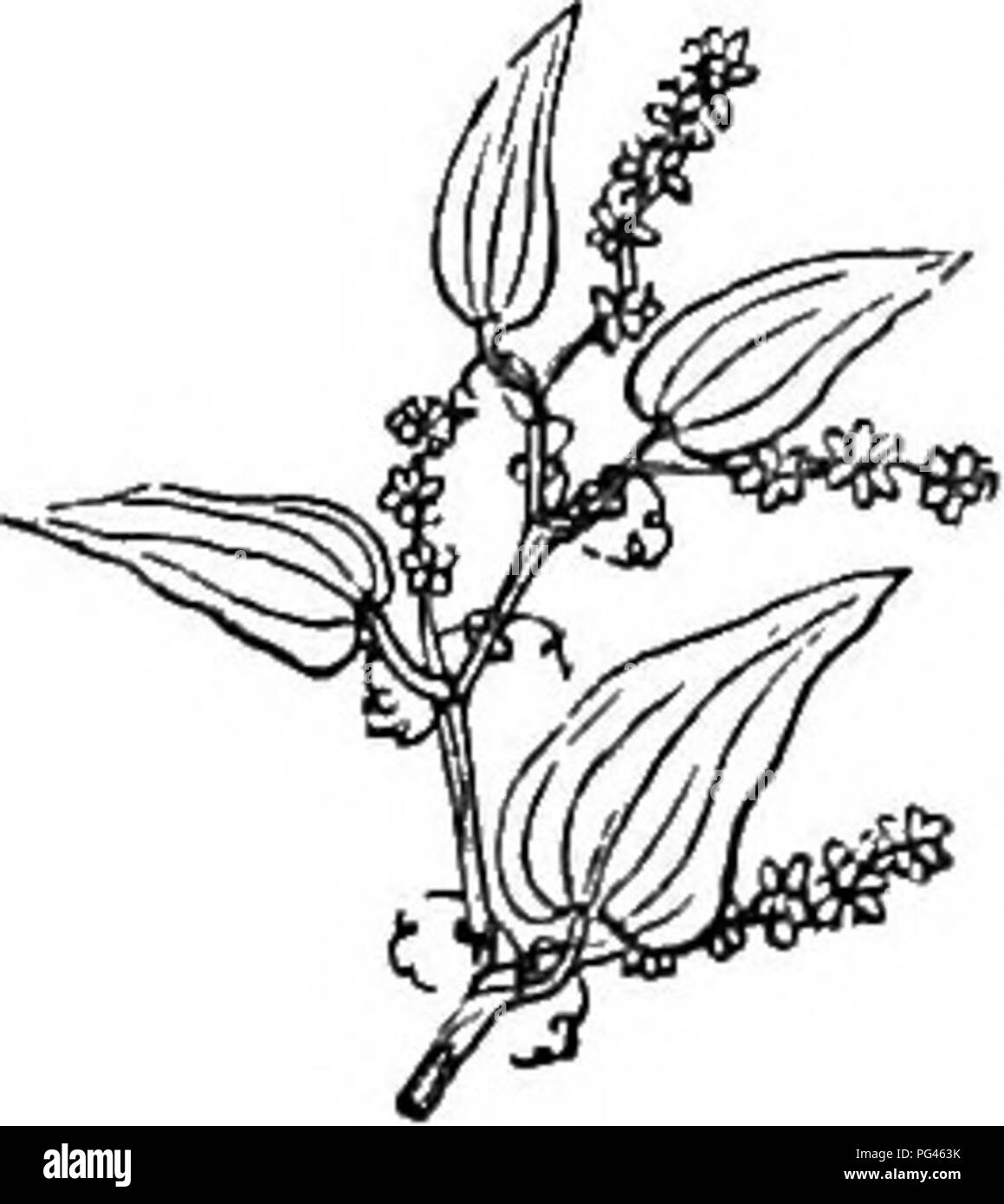 111 8 Black and White Stock Photos & Images - Alamy