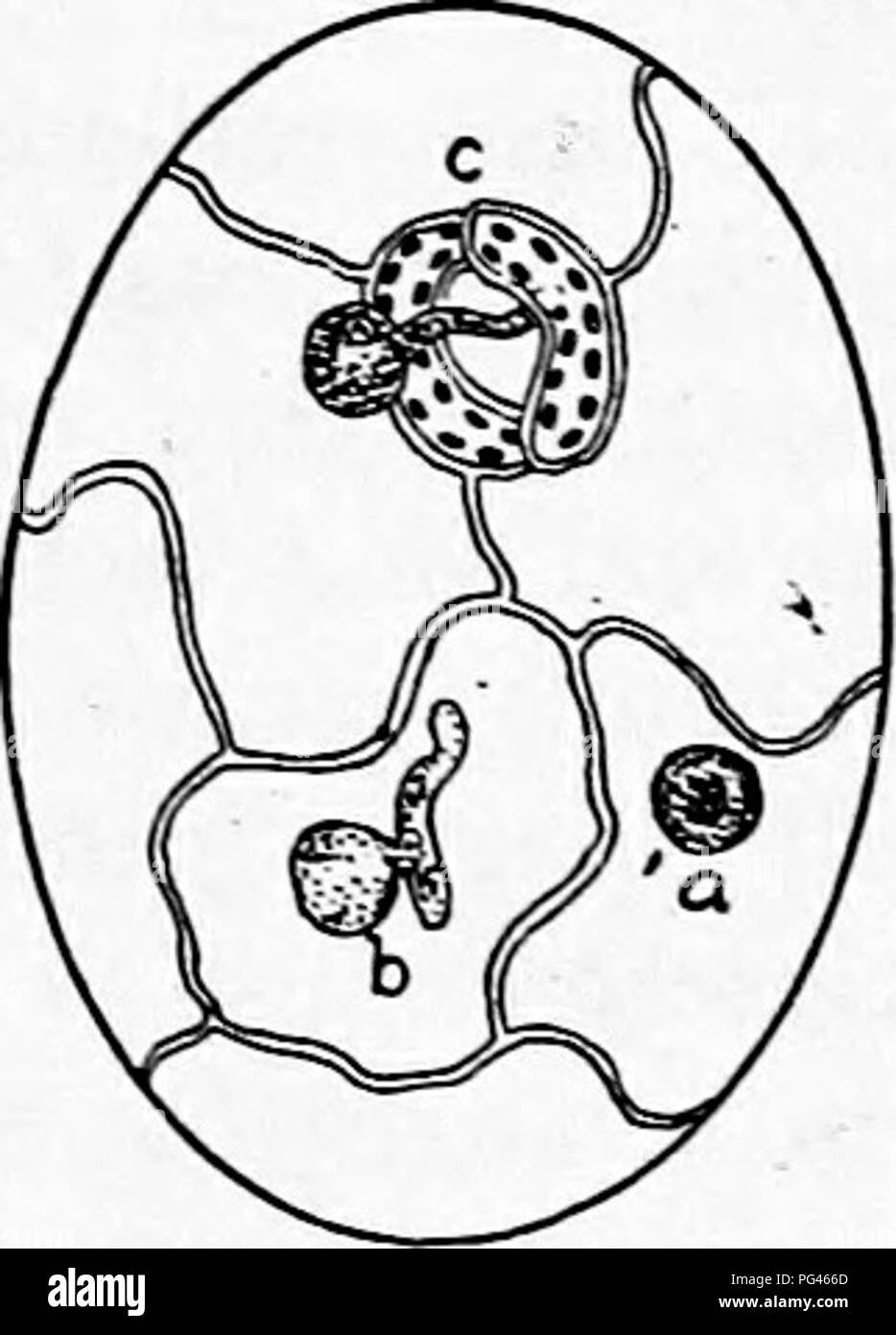 This agricultural science textbook addresses common farm pests and ...