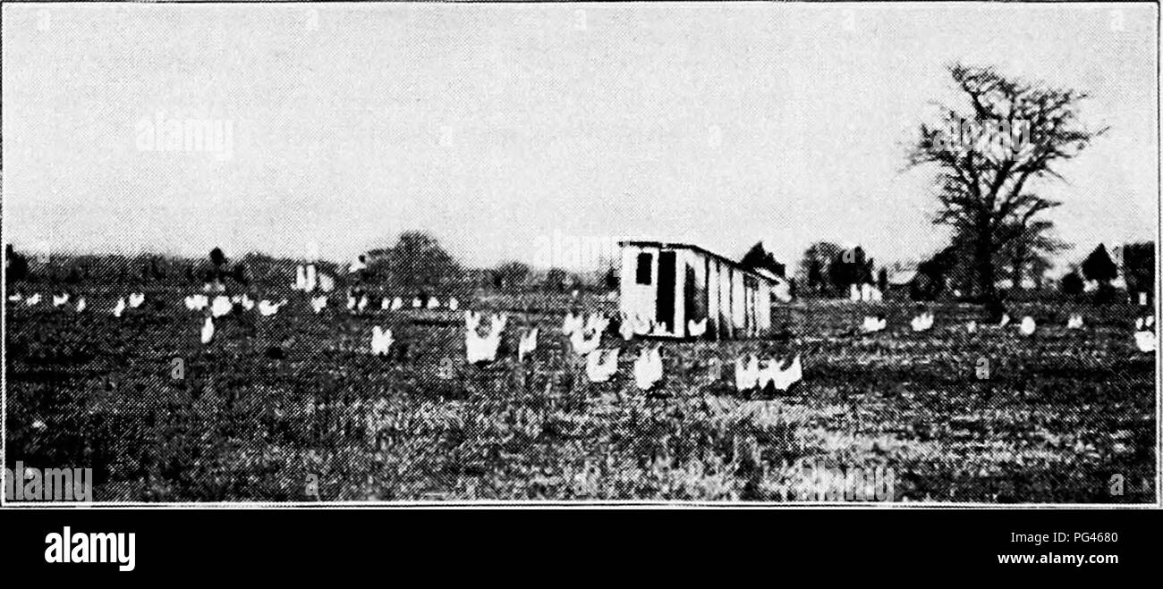 Virginia colony Black and White Stock Photos & Images - Alamy