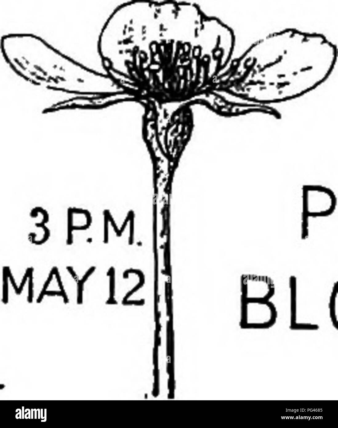 This text discusses the role of insects in pollination and ...