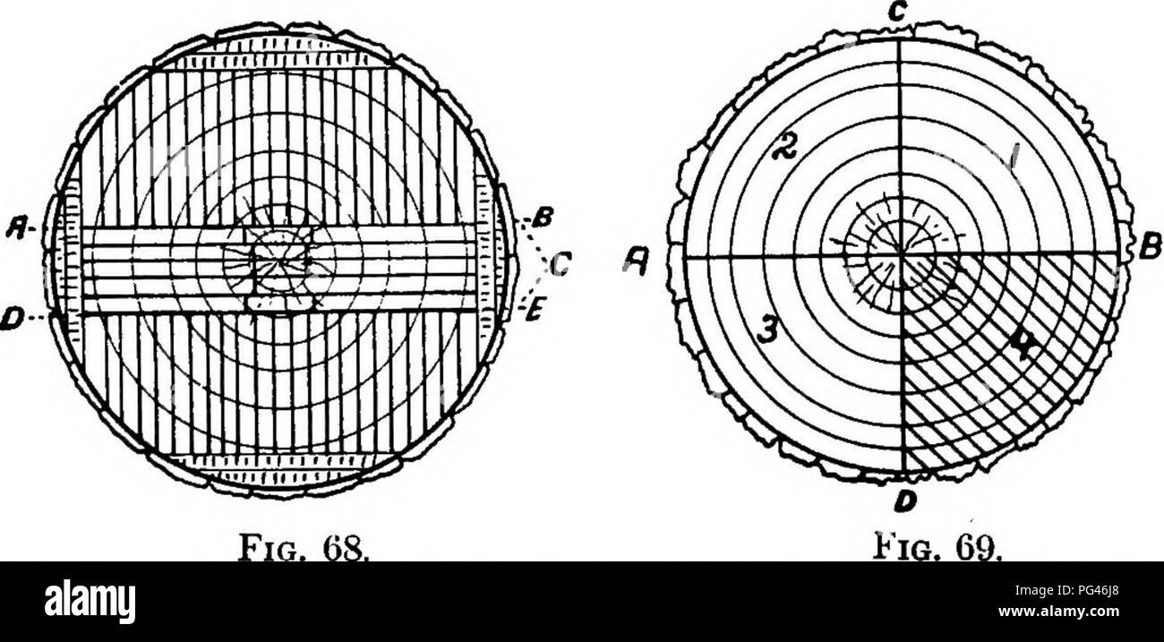 This reference discusses methods of sawing wood in forestry, focusing ...