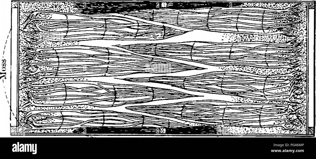 Wrapping method hi-res stock photography and images - Alamy